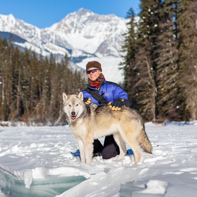 Gallery | Wallace Galleries